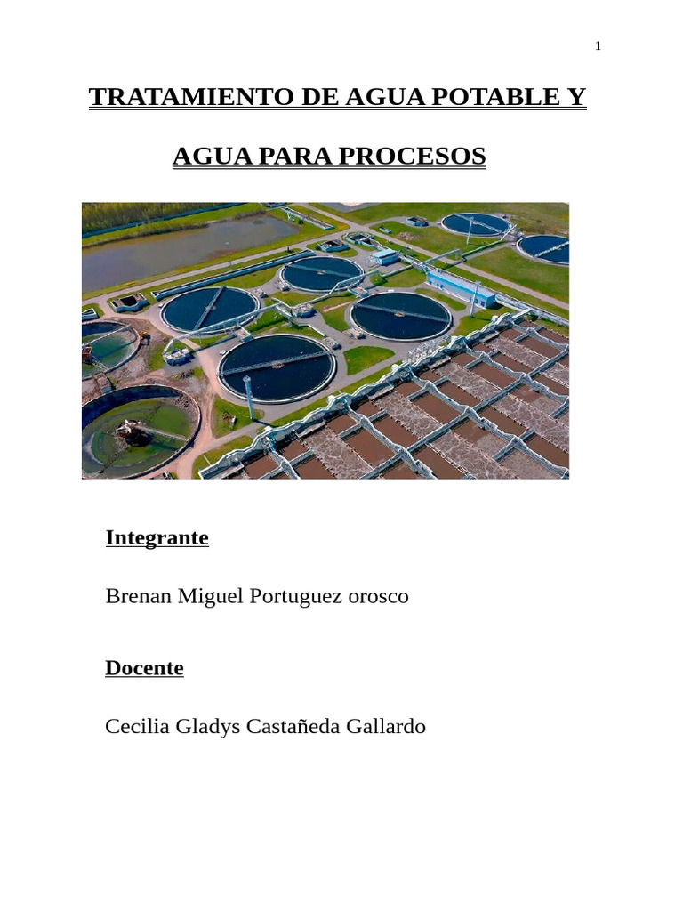 Entregable 01 Protocolo de Control de Parametros Del Agua Que Ingresa A Una Planta de ...