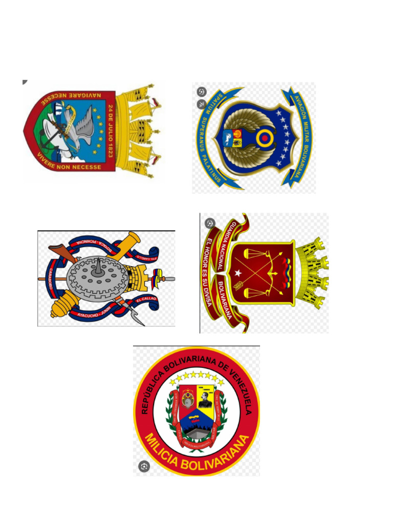 Escudos 5 | PDF