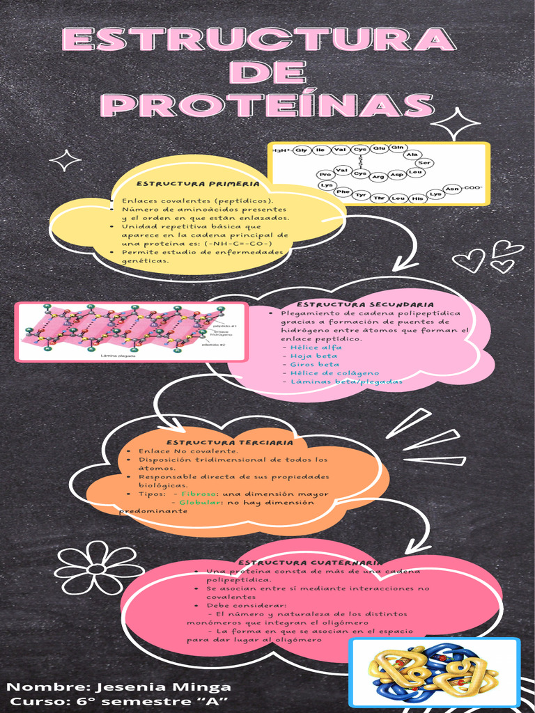 Estructura de Proteínas: Tipos y Funciones | PDF