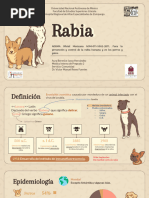 Guía de Profilaxis Antirrábica Humana | PDF | Rabia | Biología