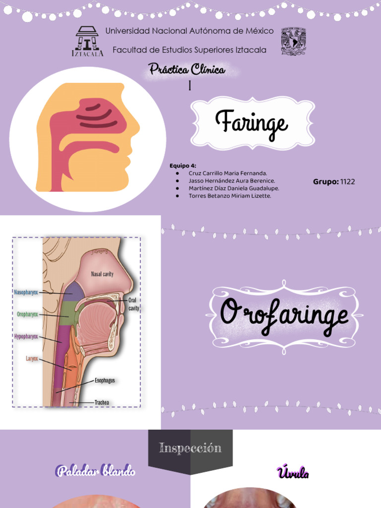 Exploración y Patologías de la Faringe | PDF | Sistema digestivo ...