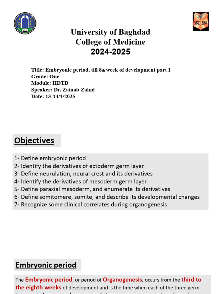 Uobcom Embyro Period 1 Week 3-4 | PDF | Nervous System | Embryo