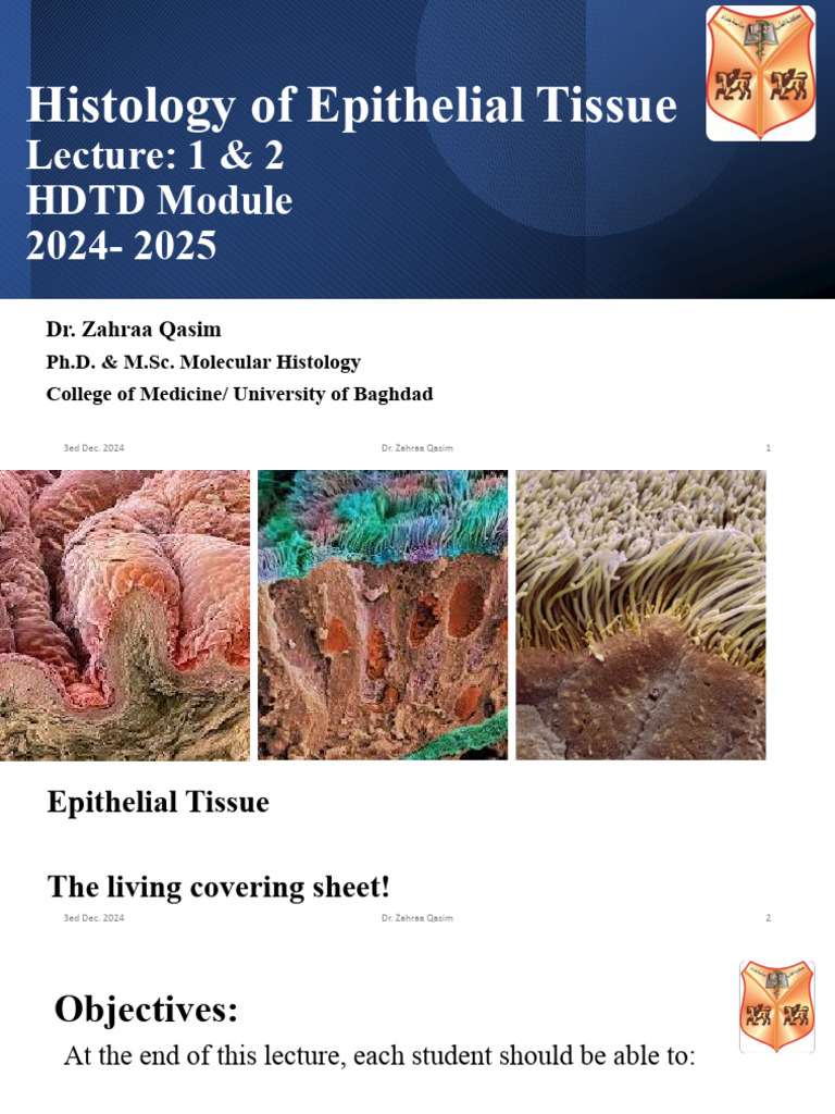 Uobcom Histology Epithelium 1&2 | PDF | Epithelium | Tissue (Biology)