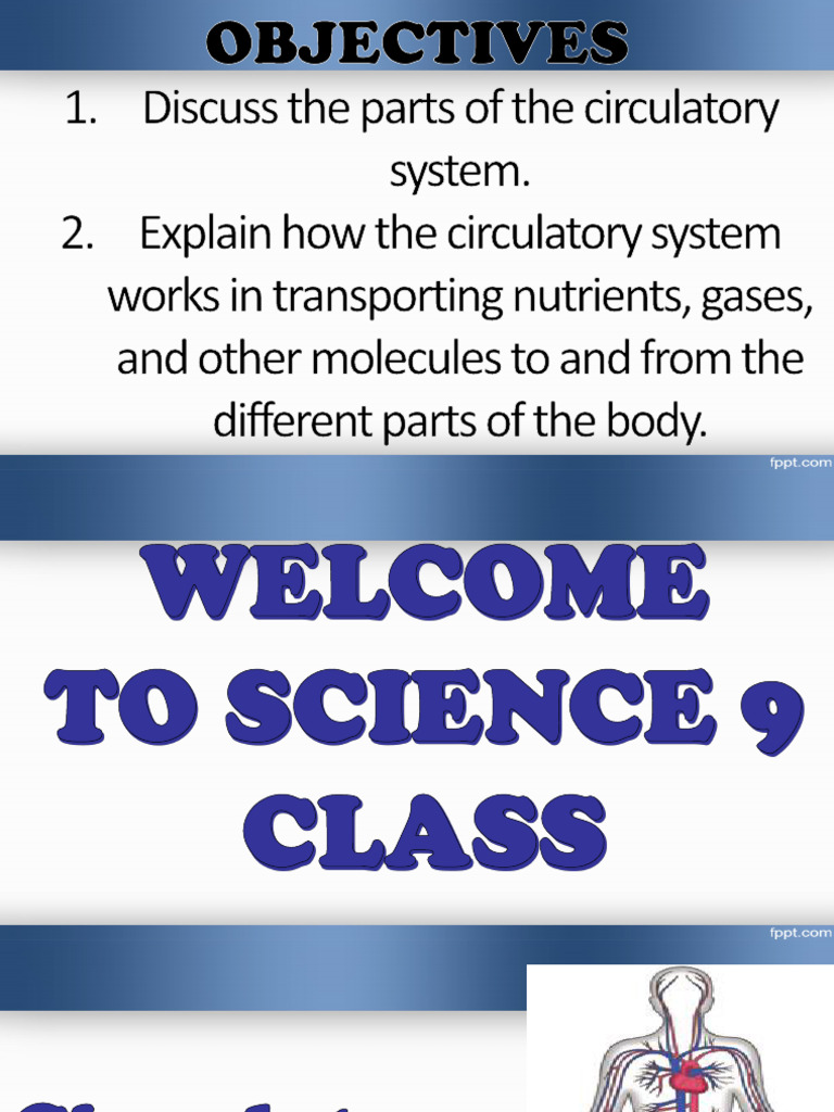 2023 Science 9 Lesson 2 Circulatory System 2 | PDF | Circulatory System ...