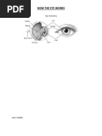 BC Science 8 Connections Textbook Full | PDF | Eye | Refraction