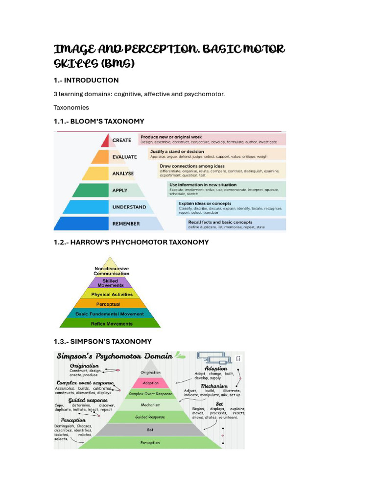 Tema 2 Pe Ed Primaria Bilingue | PDF | Motor Coordination | Perception