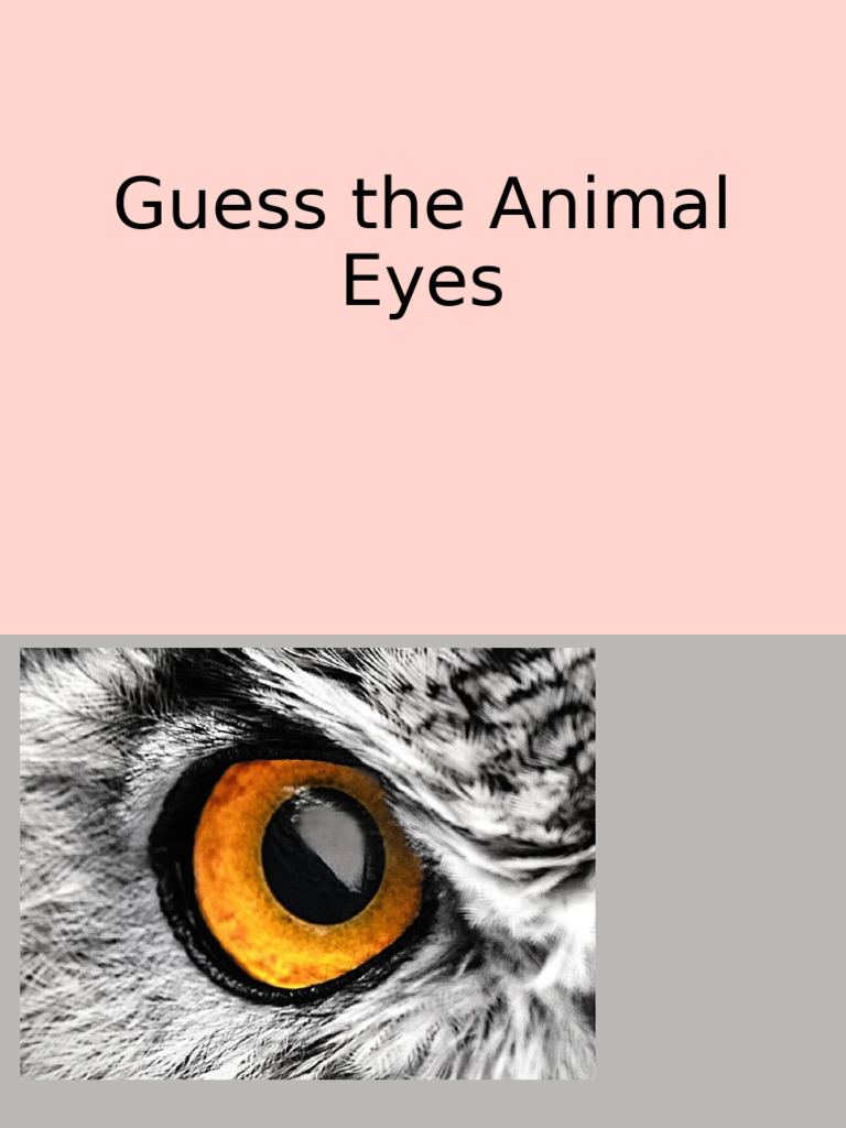 Guess The Eye-WPS Office | PDF