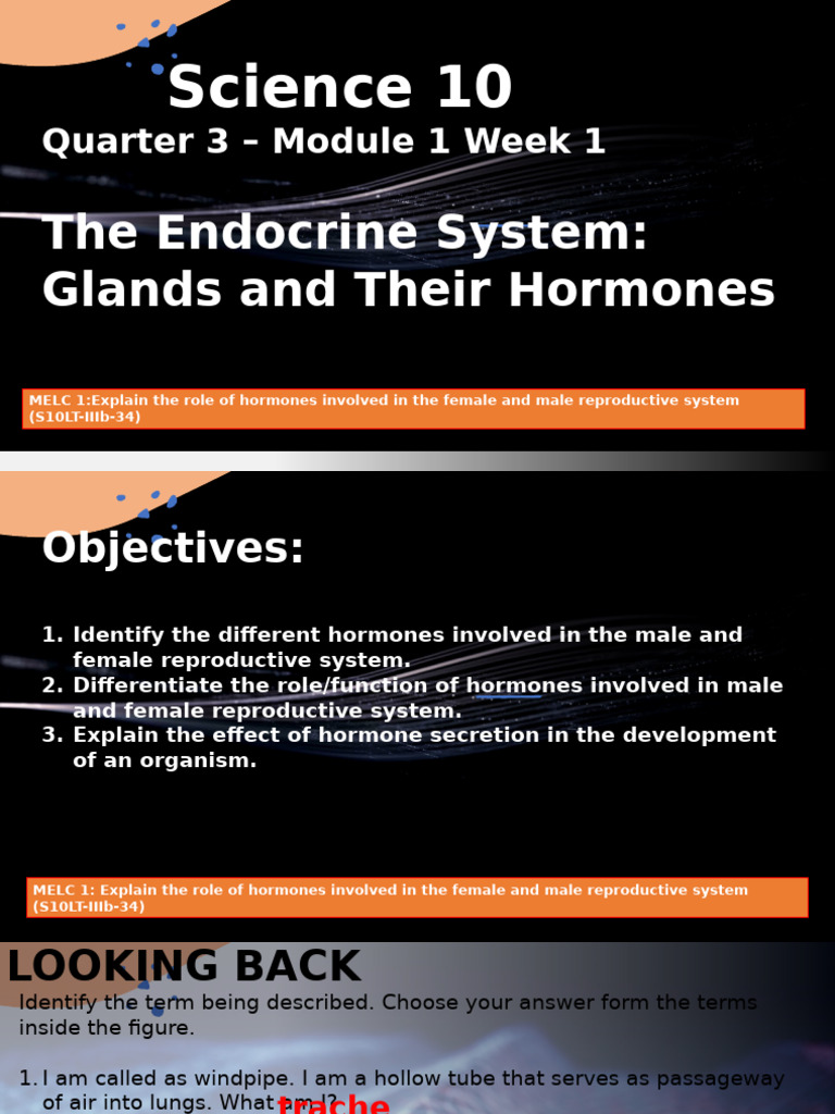 Endocrine System: Hormones in Reproduction | PDF | Endocrine System ...