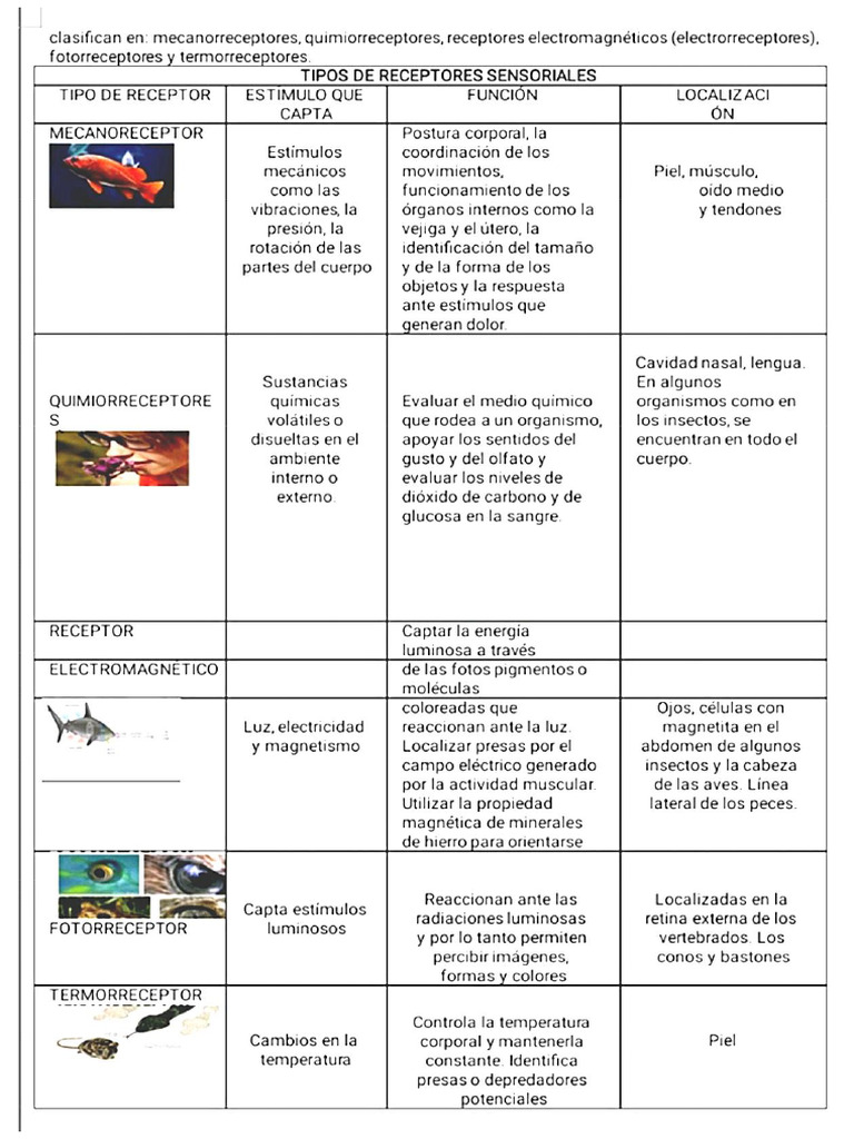 Bi 4 | PDF