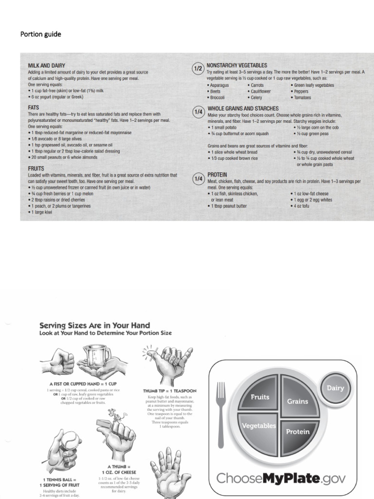 Portion Guideline W Hand and Measures | PDF