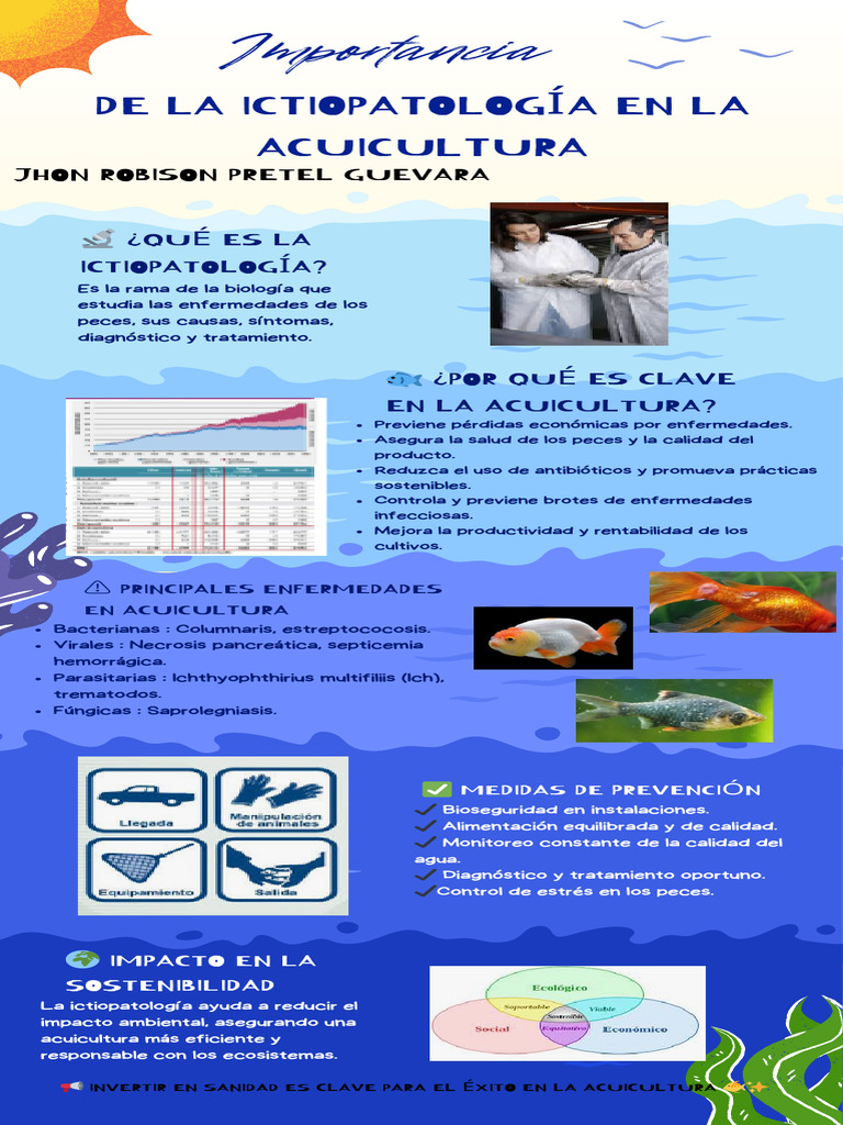 Blue Illustrative Sea Animals Infographic | PDF