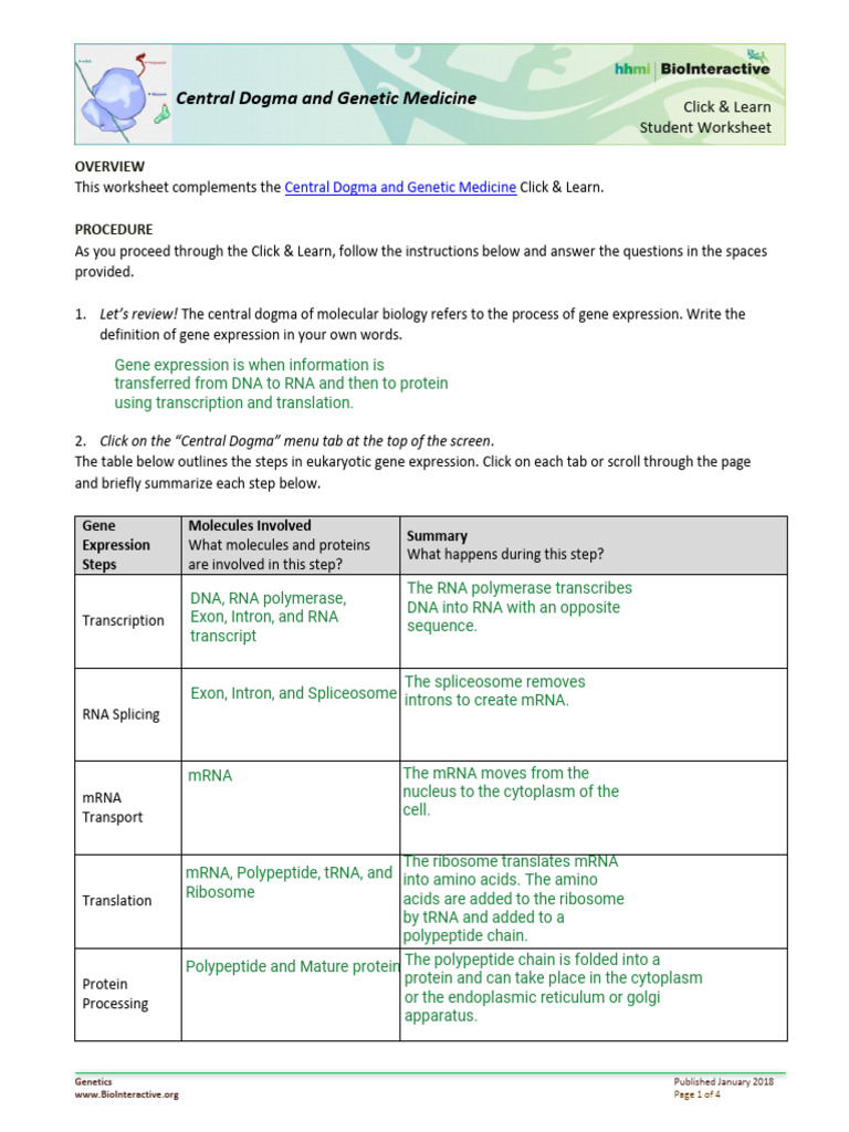 Central Dogma and Genetic Medicine | PDF | Messenger Rna | Gene Expression