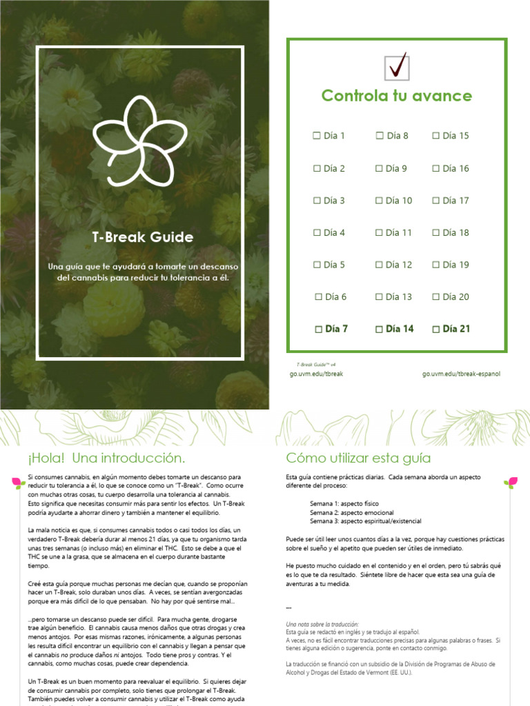 T-Break Guide - Espanol | PDF | Cannabis (Droga) | Soledad