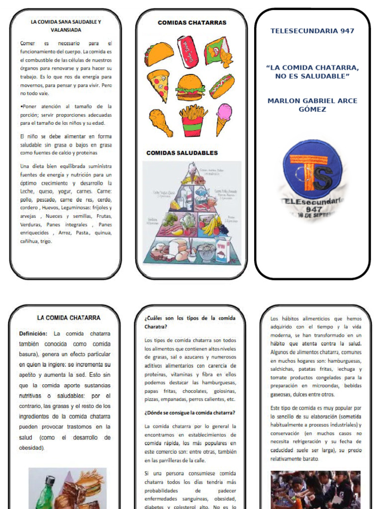Obesidad Triptico | PDF