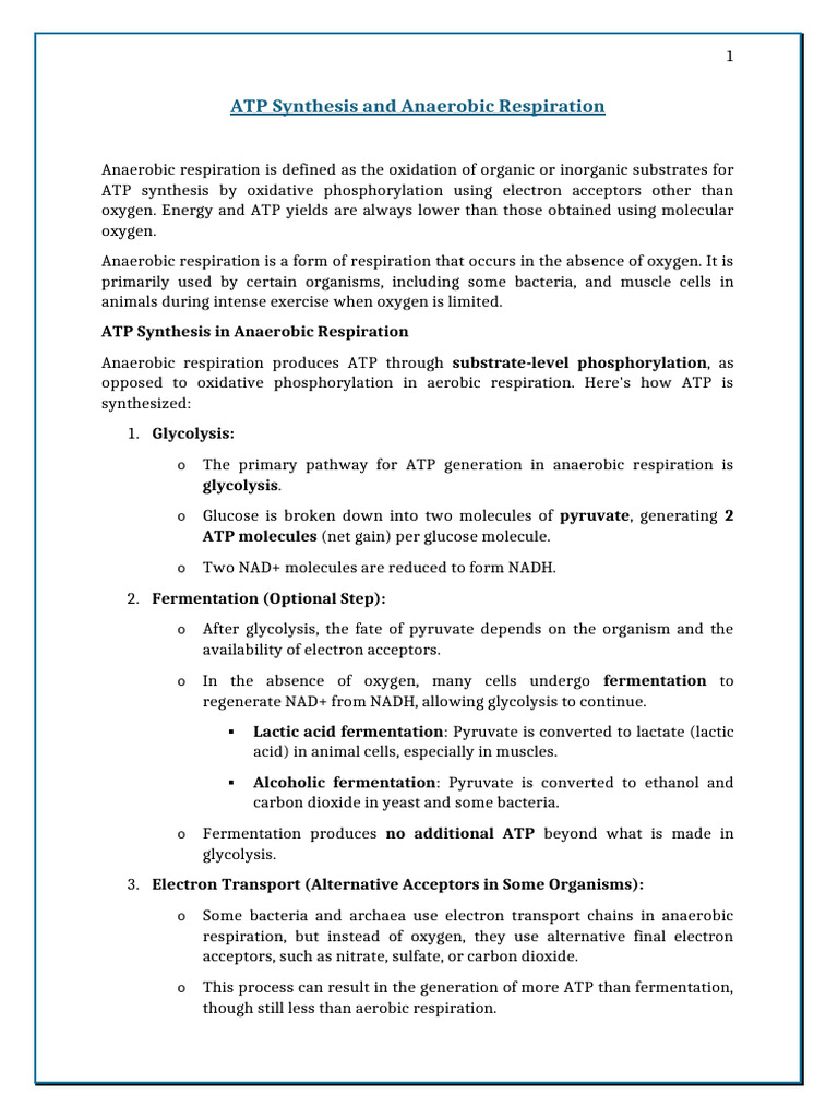 Anaerobic Respiration - Fermentation | PDF | Cellular Respiration ...