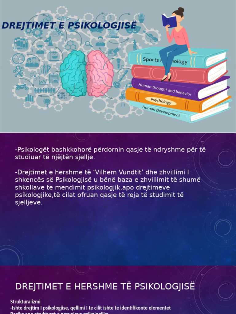 Agnesa Project | PDF
