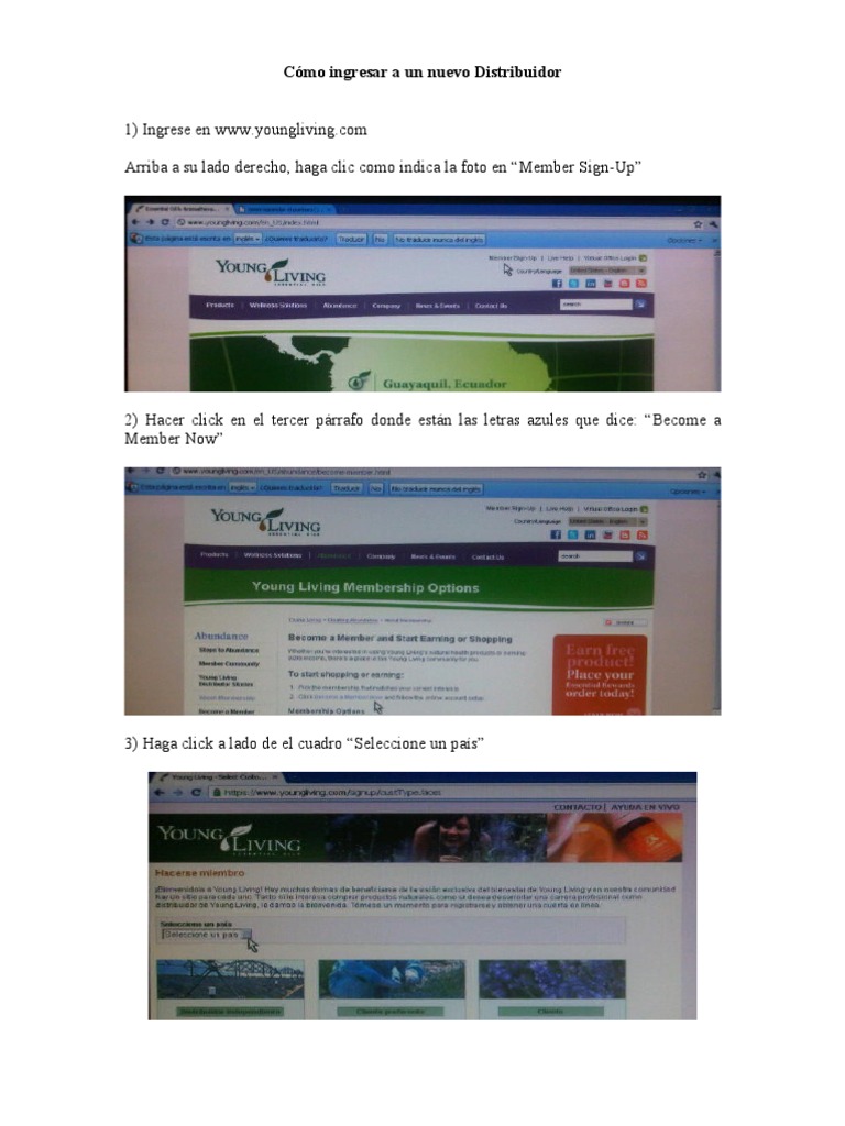 Cómo Ingresar A Un Nuevo Distribuidor | PDF | Correo electrónico ...