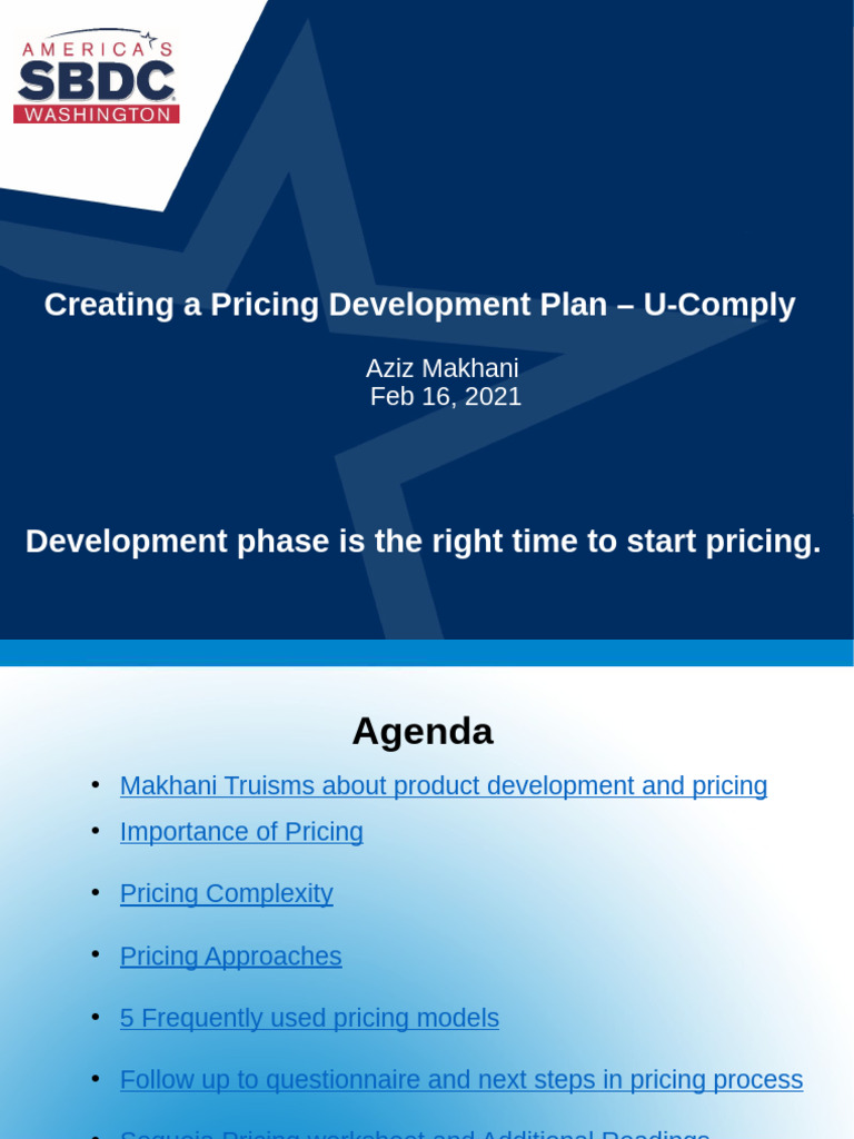 Effective SaaS Pricing Strategies Guide | PDF | Software As A Service ...