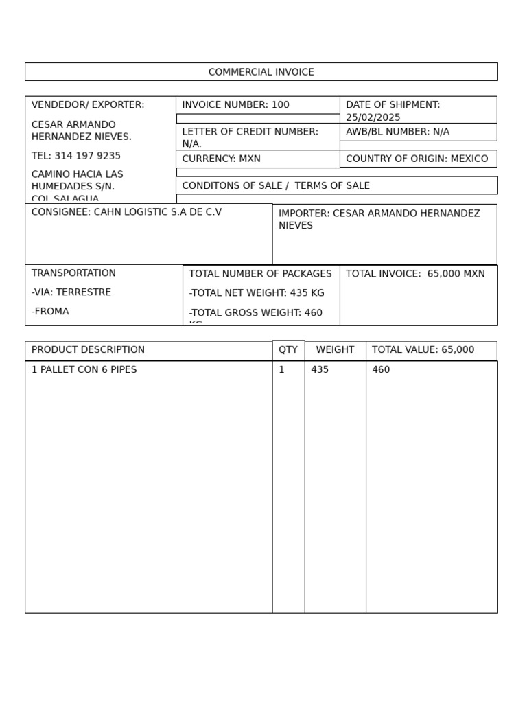 Commercial Invoice for Export Shipment | PDF