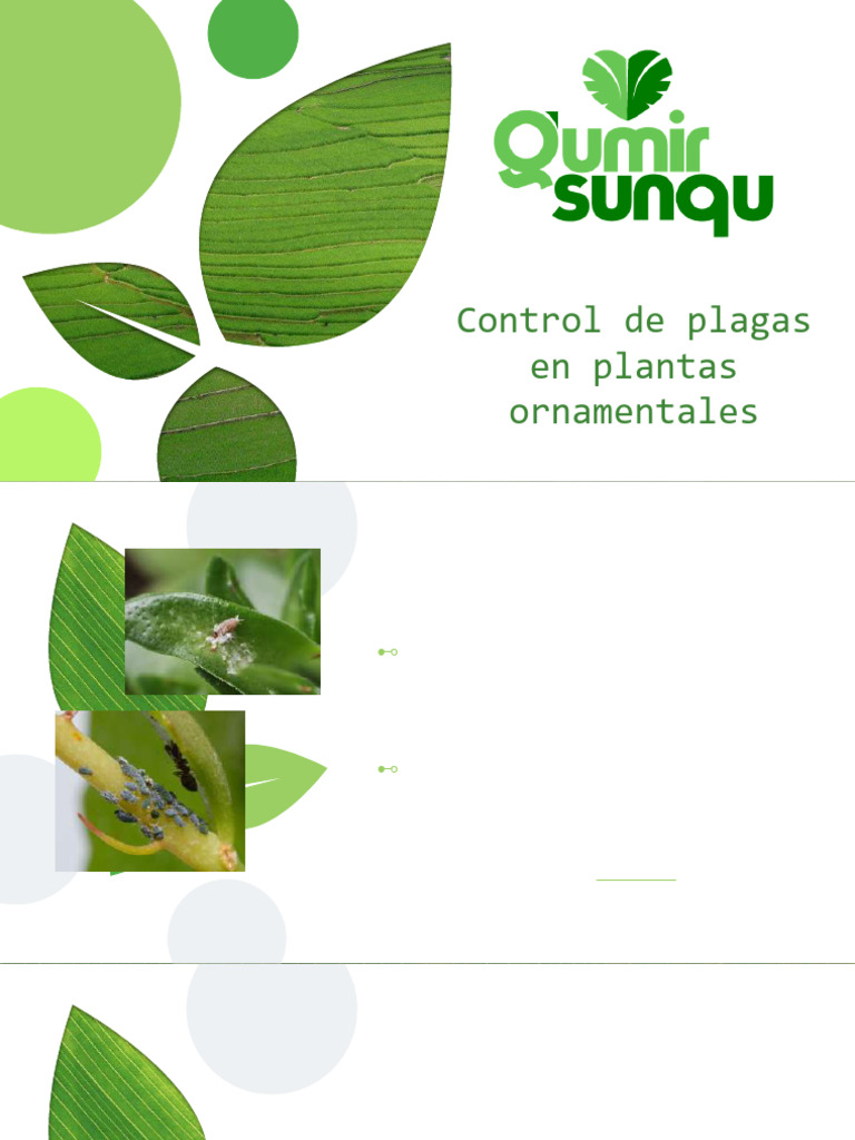 Control de Plagas | PDF | Plaga (organismo) | Control biológico de plagas