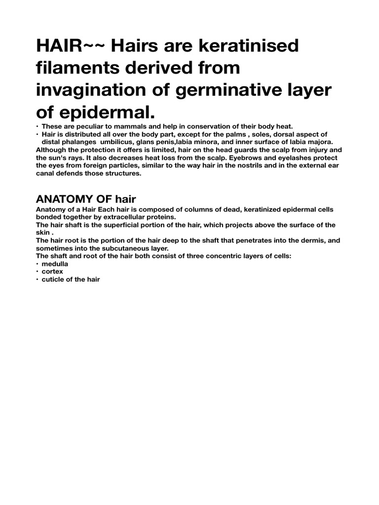 HAIR Notes Anatomy and Physiology | PDF