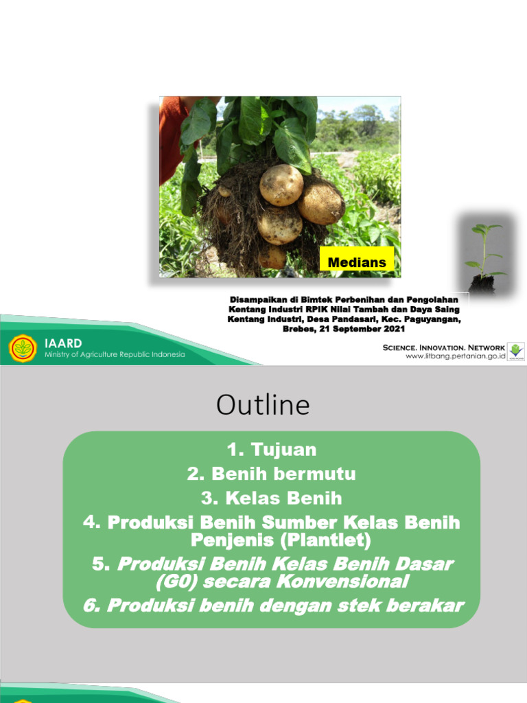 Meteri 5. Produksi Benih Sumber Kentang - Juniarti | PDF
