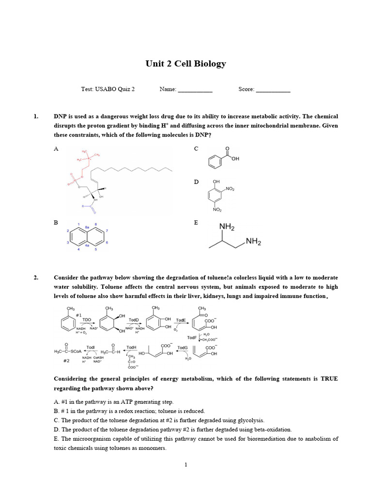 Unit 2 Cell Biology (USABO Quiz 2) | PDF | Cellular Respiration ...