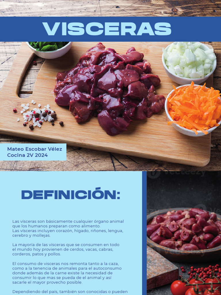Definición y Clasificación de Vísceras | PDF | Menudencias | Alimentos