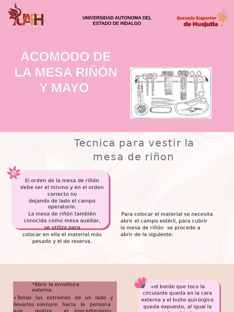 Acomodo de La Mesa Riñon y Mayo | PDF