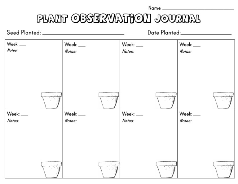 Plant Observation Journal Template | PDF