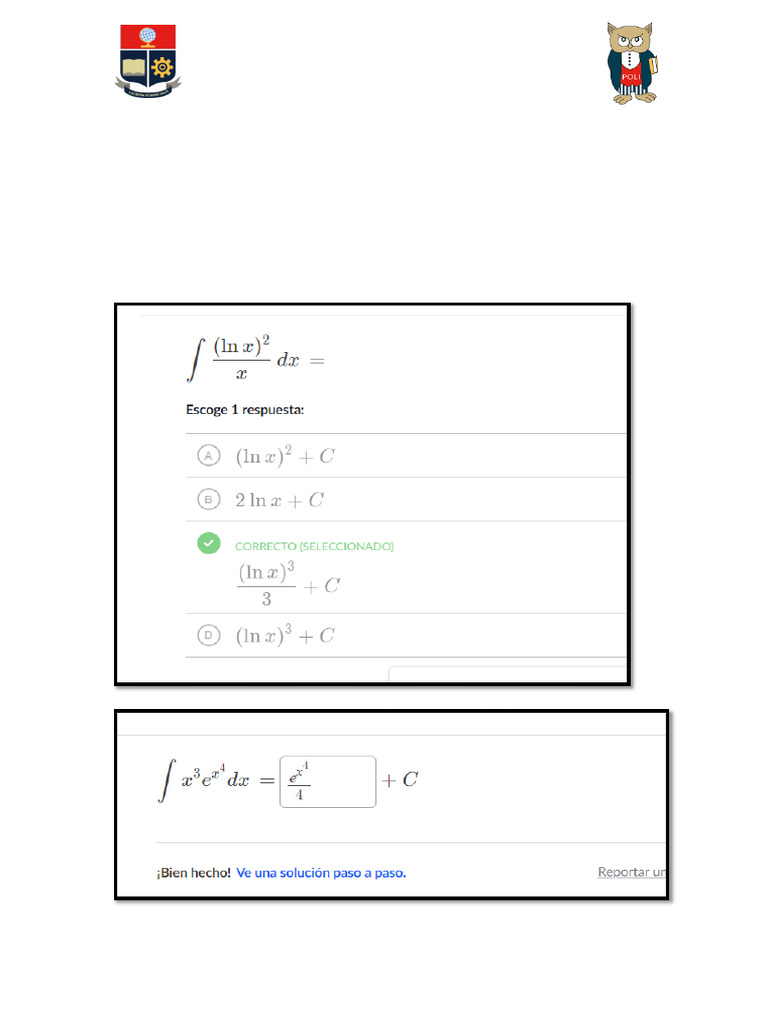 t02.Sb.cv.Integrales Indefinidas | PDF