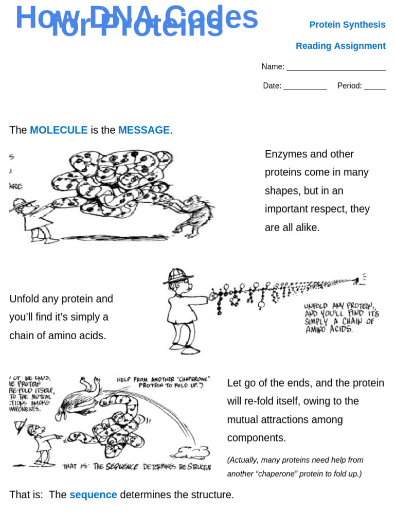 1 - Protein Synthesis Reading | PDF | Rna | Ribosome