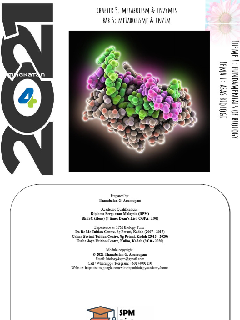 Chapter 5 - Metabolism and Enzymes | PDF | Enzyme | Endoplasmic Reticulum