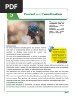 Class 10 - Bio - Control and Coordination - Notes | PDF | Neuron ...