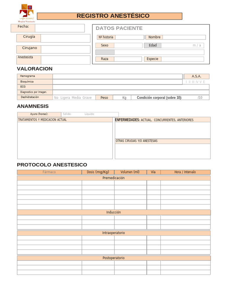 Hoja - de - Registro - Anestesico - 2025 | PDF | Anestesia | Medicina
