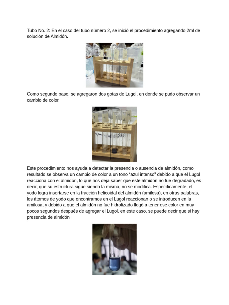 Prueba de Almidón con Lugol: Resultados | PDF
