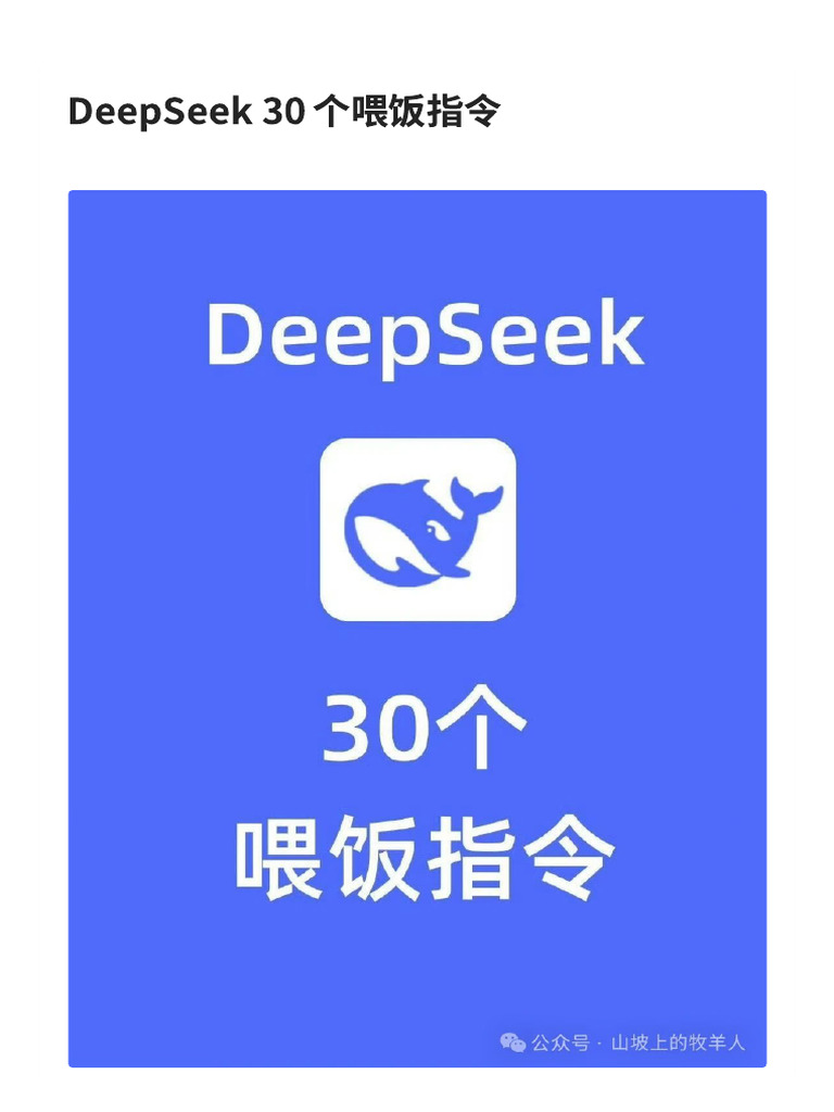 DeepSeek 30个喂饭指令 | PDF