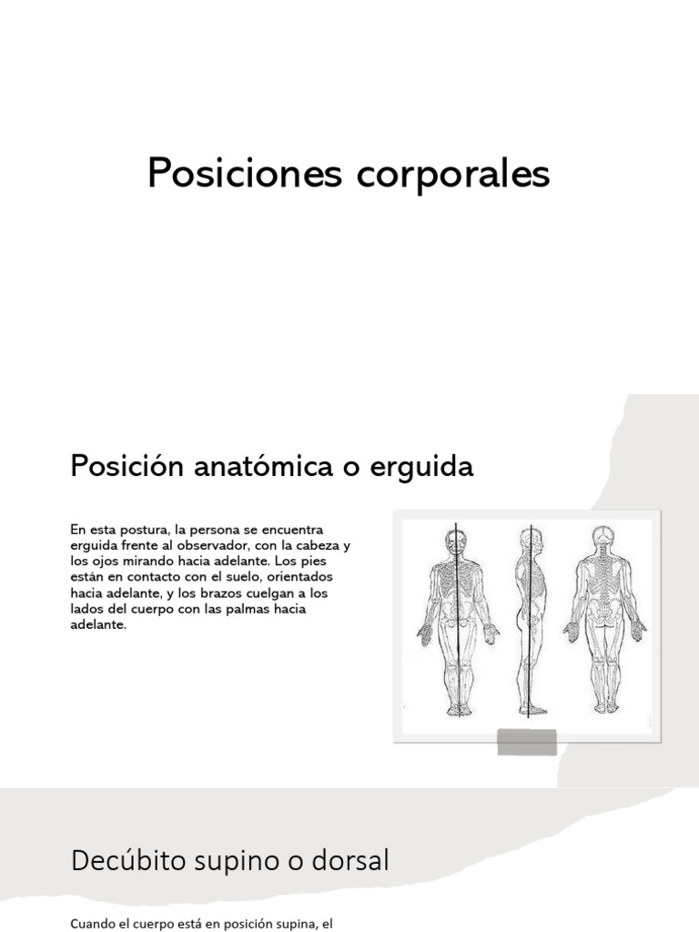 Posiciones Corporales en Anatomía | PDF | Pie | Términos anatómicos de ...