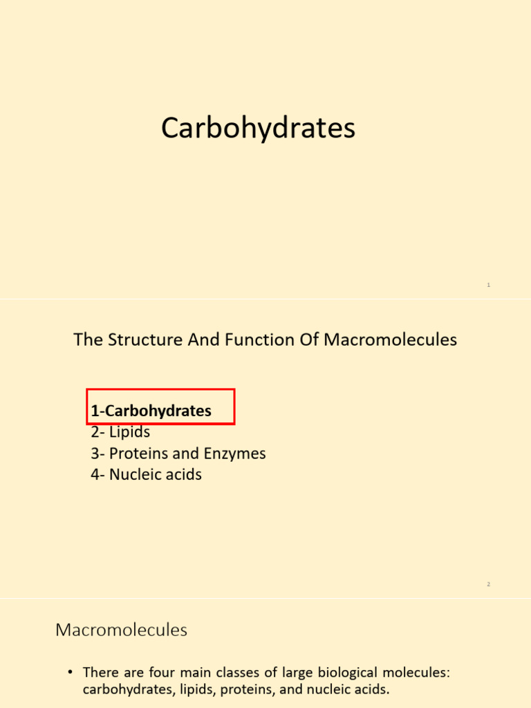 Topic 4 Carbohydrates For Students | PDF | Carbohydrates | Cellulose