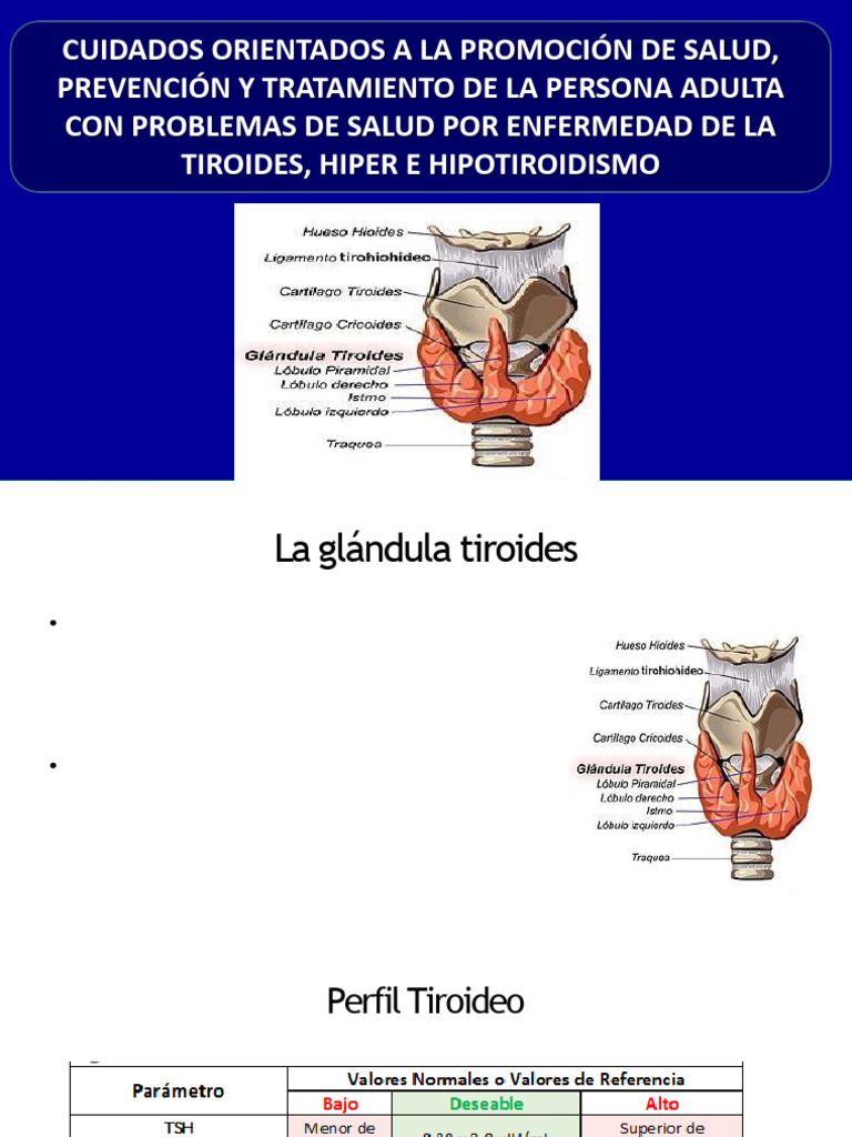 1(2)-ENFERMEDAD DE LA TIROIDES, HIPER E HIPOTIROIDISMO | PDF | Hipertiroidismo | Tiroides