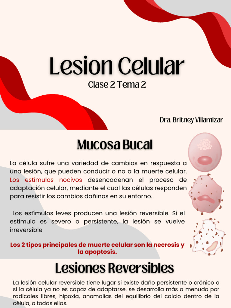 clase 2 morfo 1 | PDF | Isquemia | Inflamación