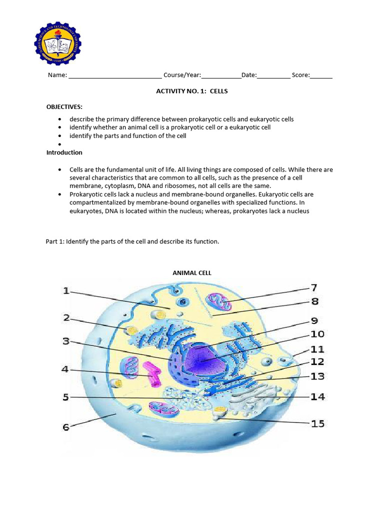 Biochem-ACTIVITY-NO-1-cells-1 | PDF