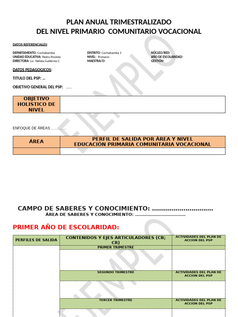 Plan Anual PAT Primaria 2025 | PDF