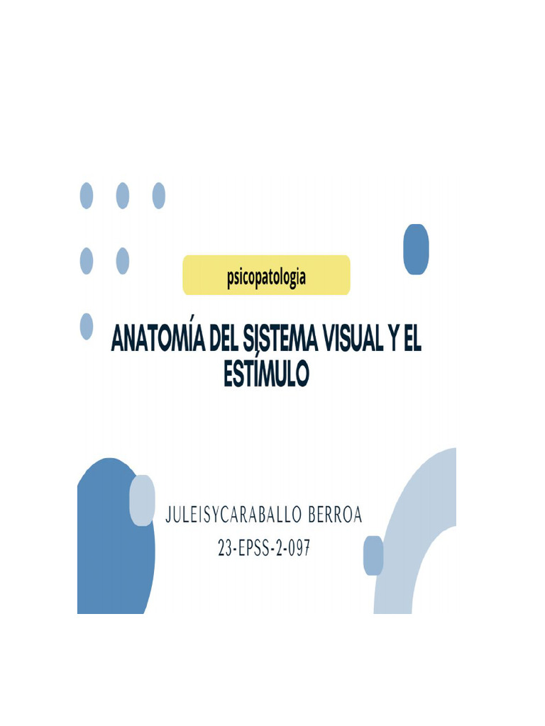 Anatomía Del Sistema Visual y El Estímulo | PDF | Dislexia | Aprendizaje