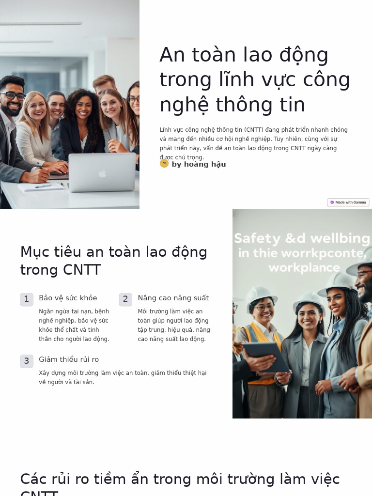 An Toan Lao Djong Trong Linh Vuc Cong Nghe Thong Tin | PDF