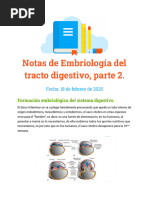 Persistencia del Conducto Onfalomesentérico | PDF | Anatomía ...