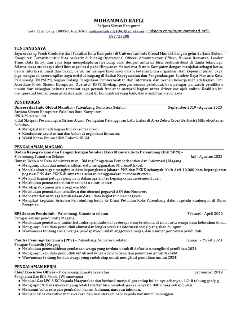 CV - Muhammad Rafli | PDF