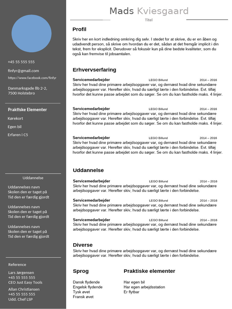 CV3 Simpel Trefarvede | PDF