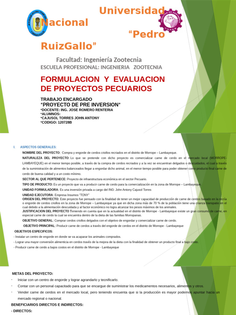 Engorde de Cerdos - John Cajusol | PDF | Carne | Cerdo