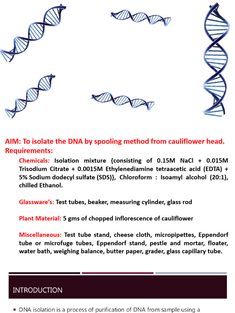 DNA Isolation | PDF | Sodium Dodecyl Sulfate | Dna